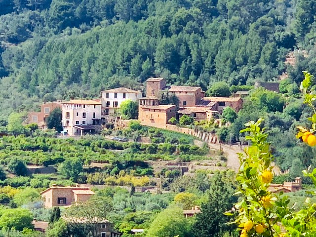 Binibassi – Robert Rissé Photography