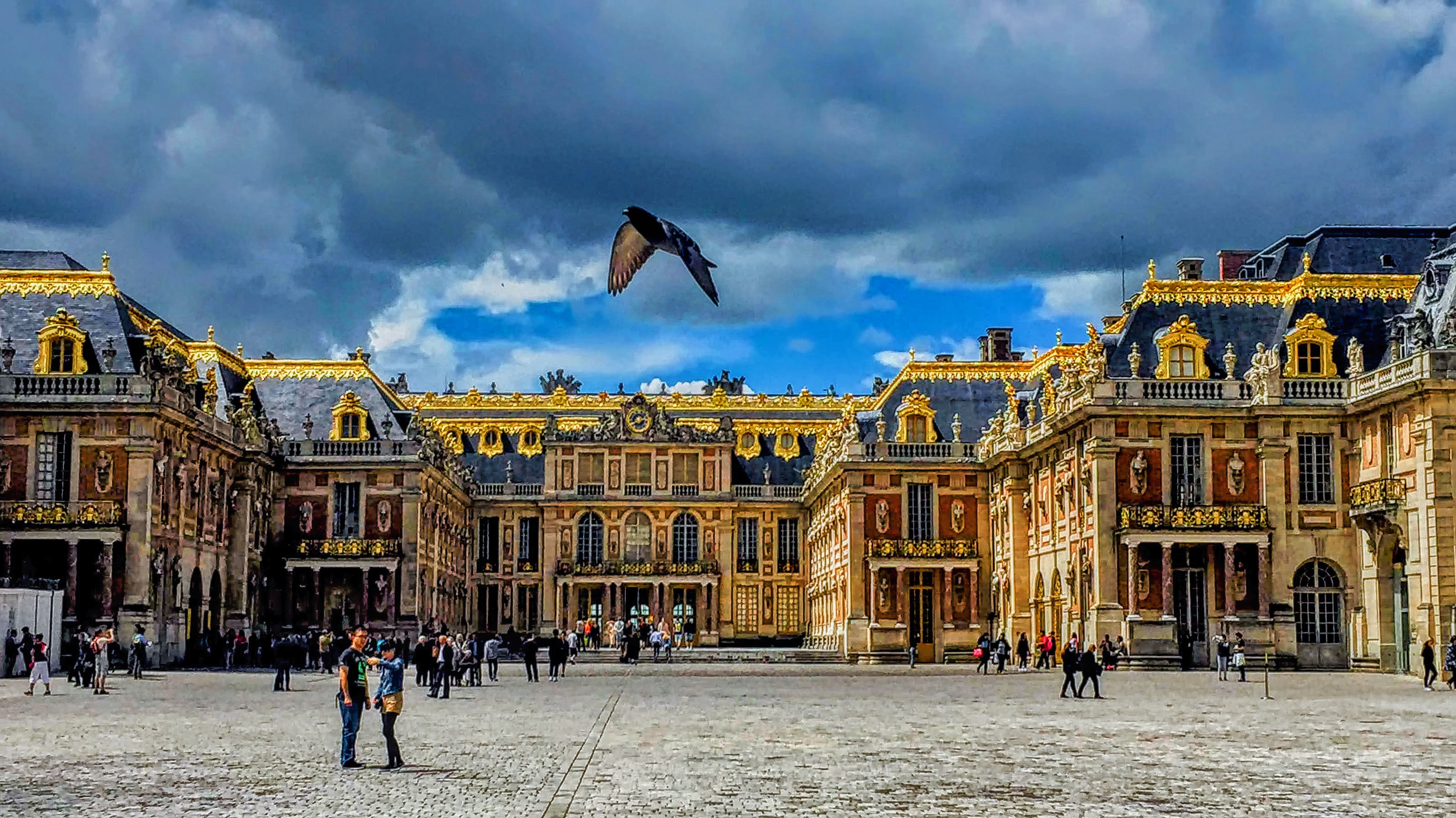 Bird Flying Above Versailles – Robert Rissé Photography